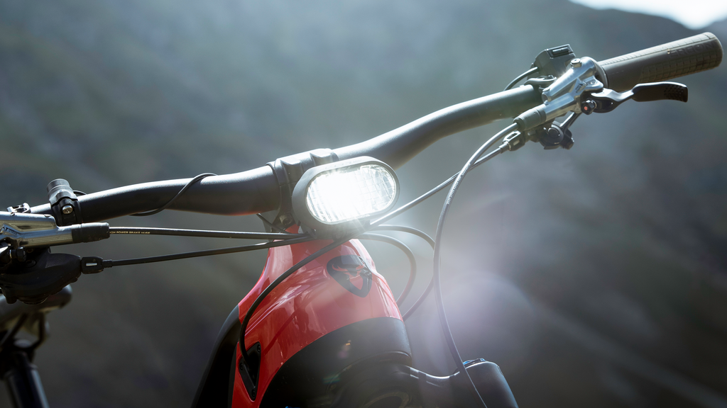 M99 MINI PRO (25 km/h) – MonkeyLink-Version - neueste Generation